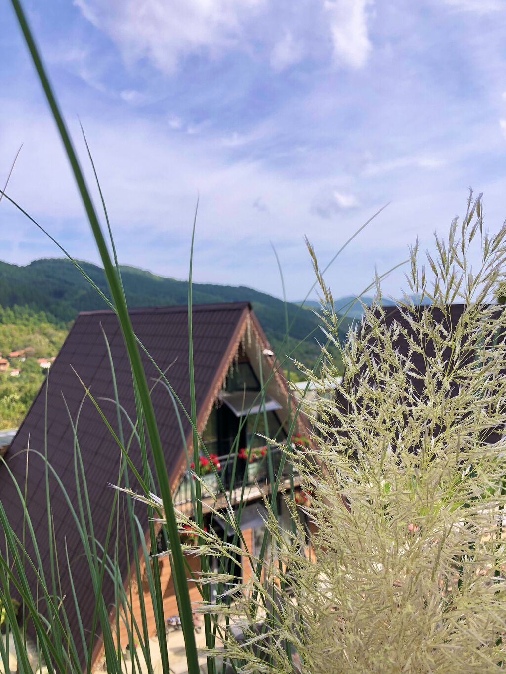 Къща за гости Алпеа - село Терзийско, Община Троян