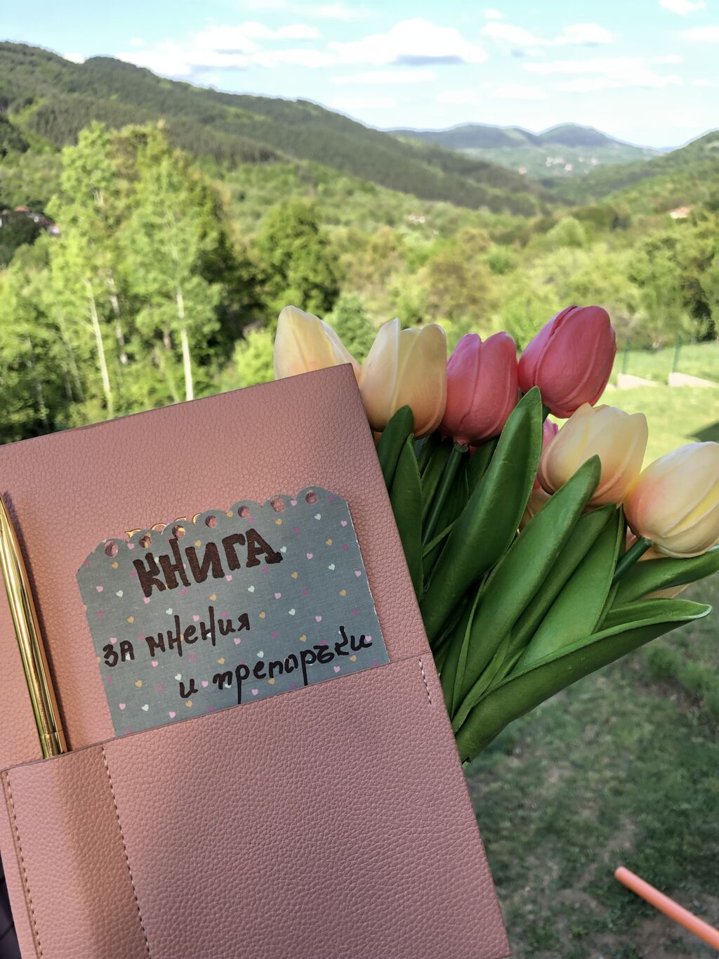 Къща за гости Алпеа - село Терзийско, Община Троян