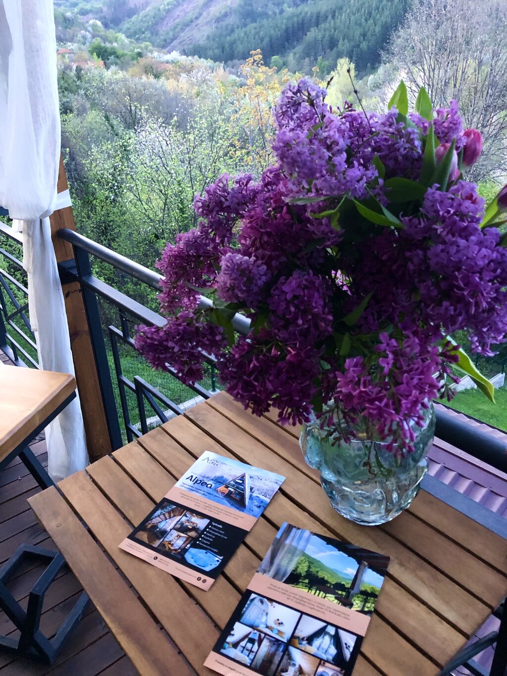 Къща за гости Алпеа - село Терзийско, Община Троян